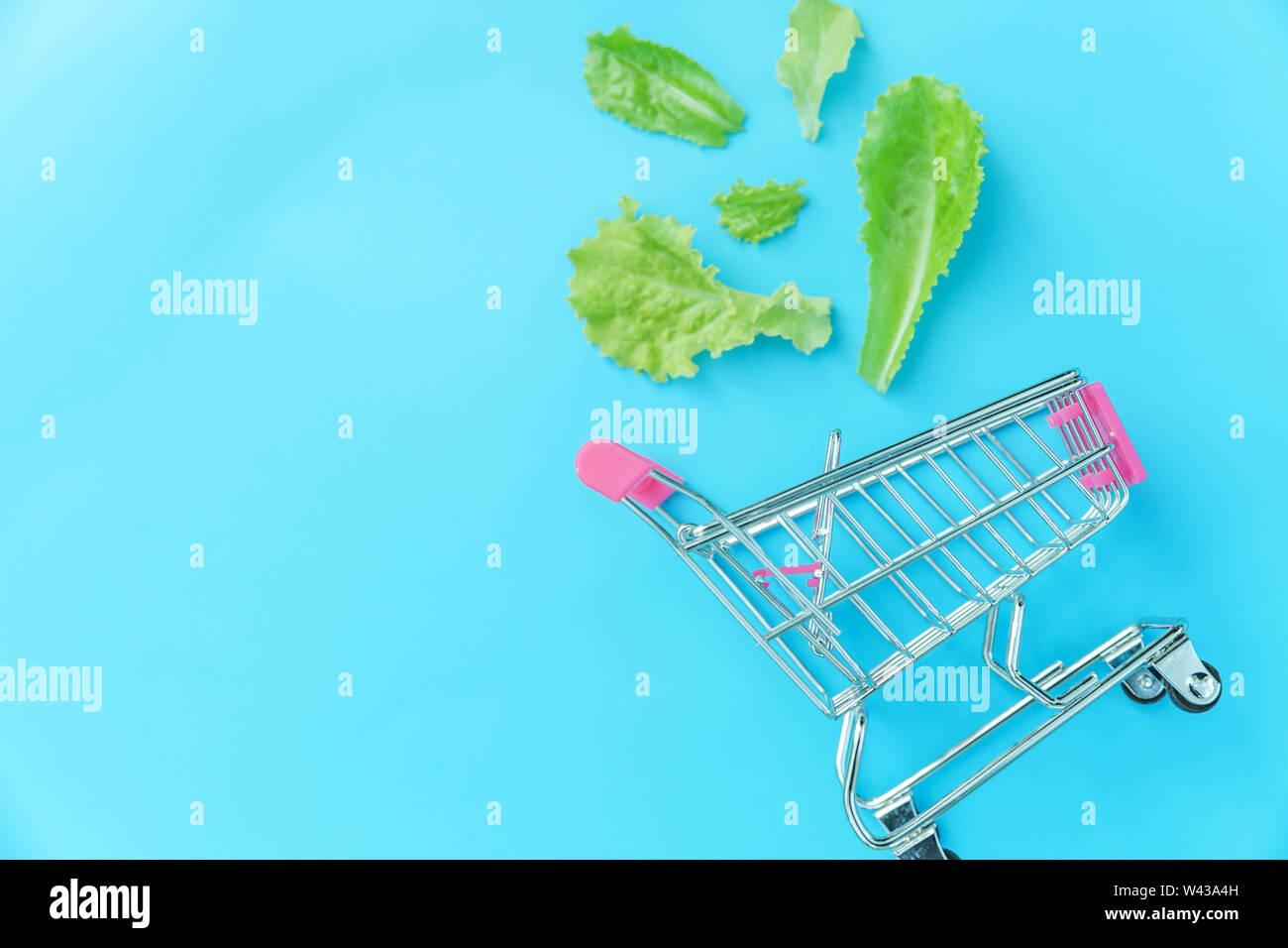 Ecology eco products health food vegan vegetarian concept . Small ...