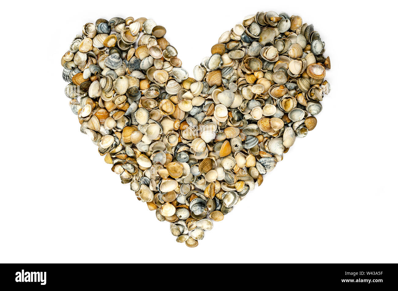 a heart-shaped collection of seashells on white background, isolated ...