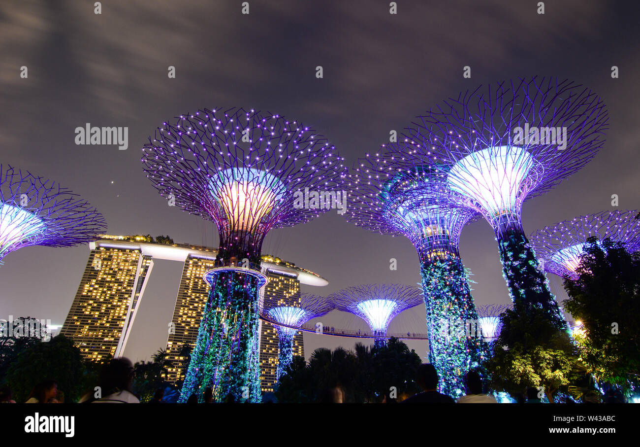 Singapore - Jul 5, 2015. The Supertree Grove at Gardens by the Bay at ...