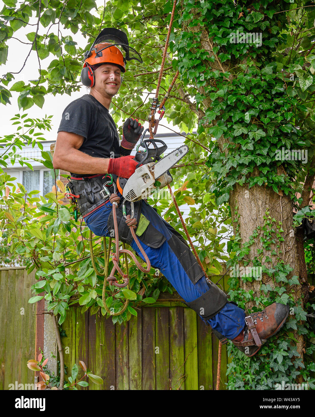 Smiling Tree Surgeon or Arborist with chainsaw and safety ropes ...