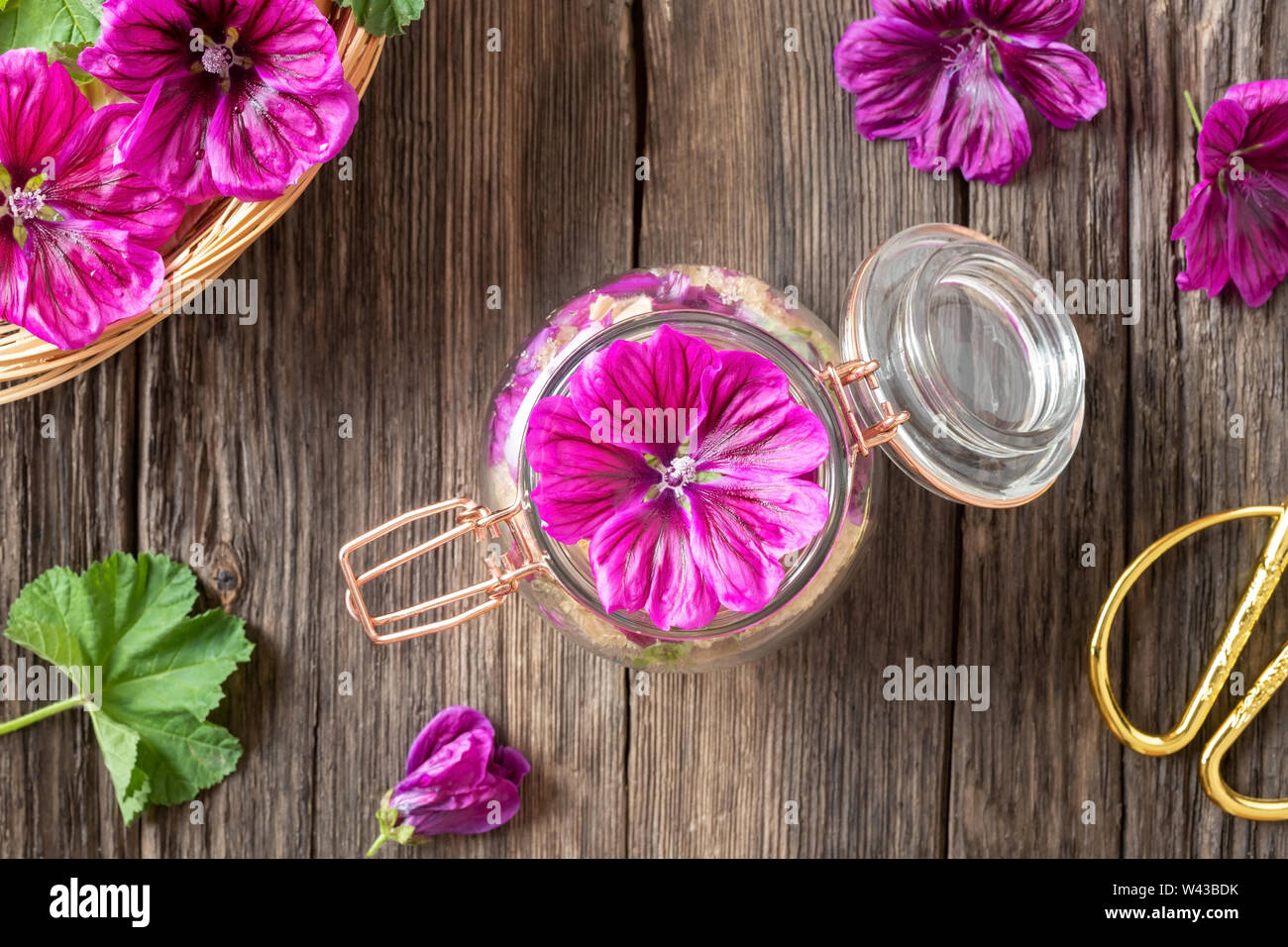 Preparation of mallow syrup against cough from fresh flowers of Malva ...