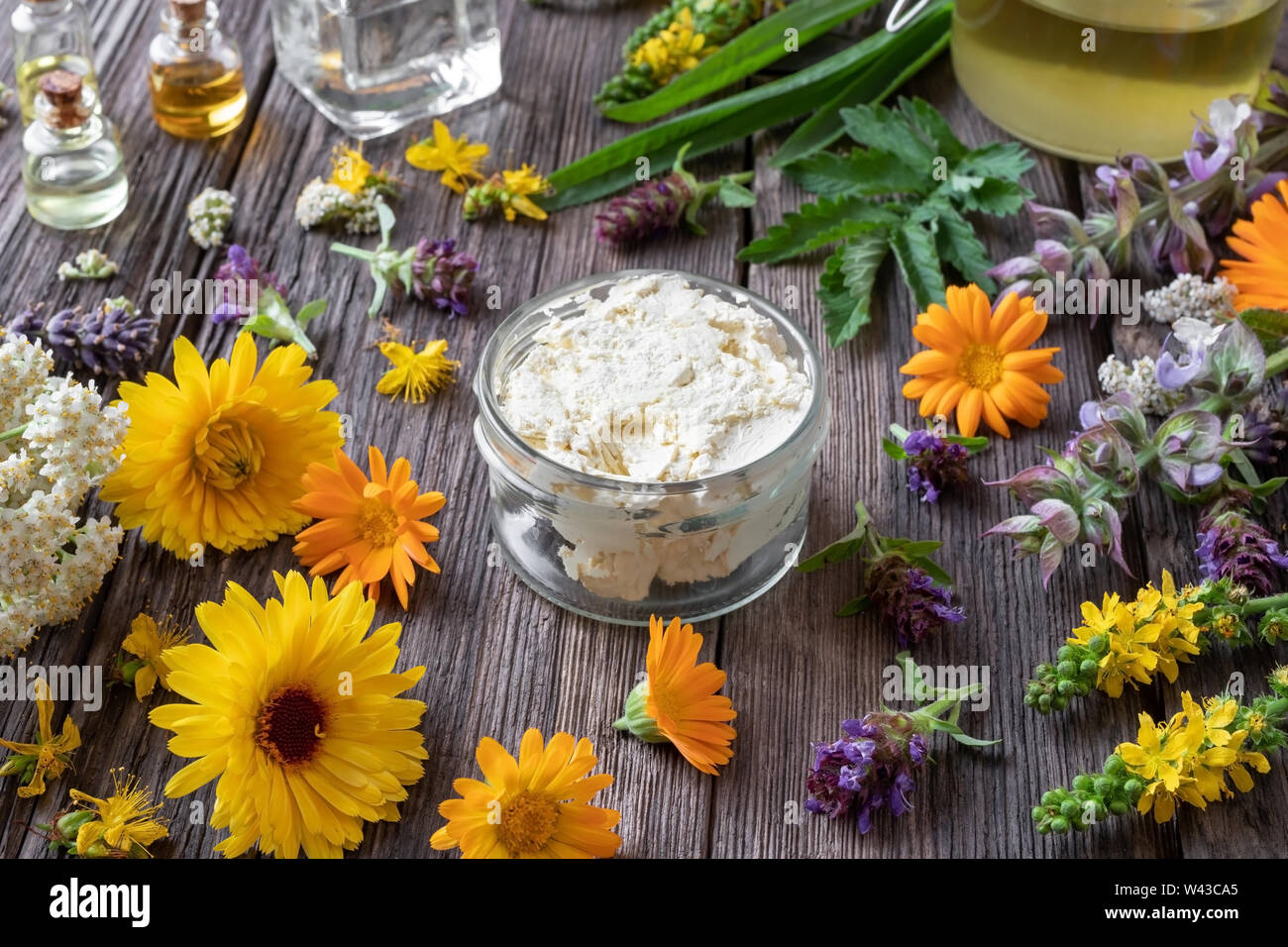 Homemade skin cream made from shea butter, medicinal herbs and ...