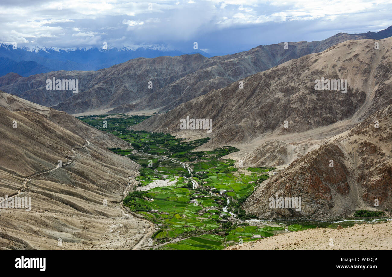Mountain scene with green valley at sunny day in Ladakh, India. Ladakh ...