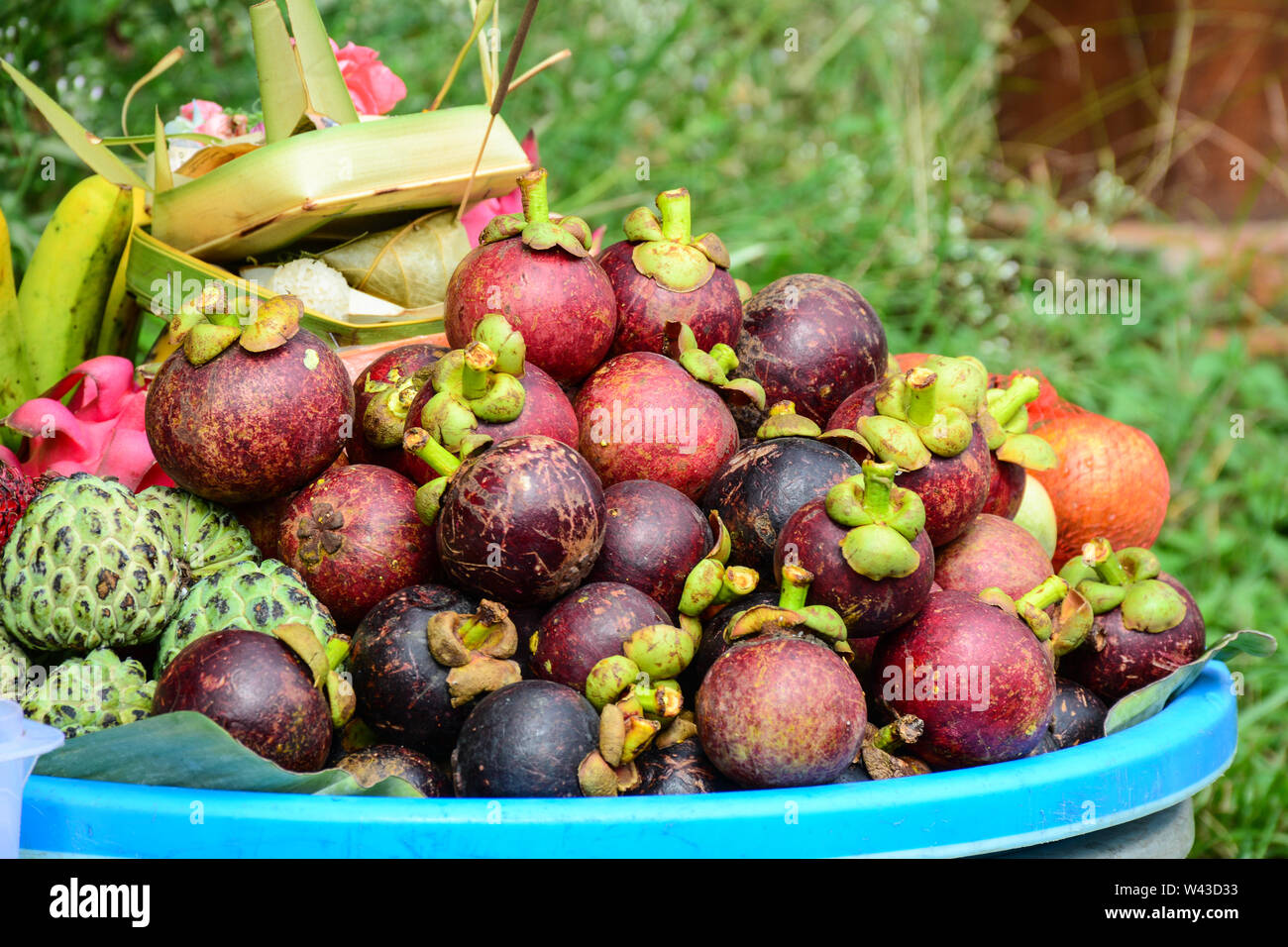 Fresh fruits for praying at Elephant Cave Temple in Bali, Indonesia ...