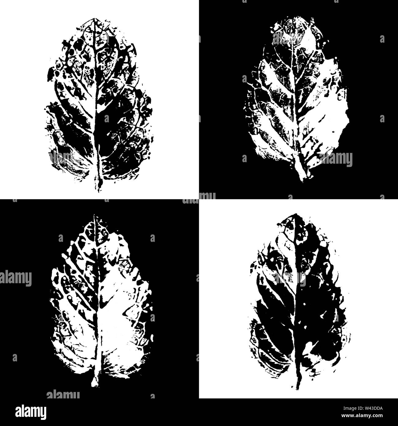 Pattern mint leaves Black and White Stock Photos & Images - Alamy