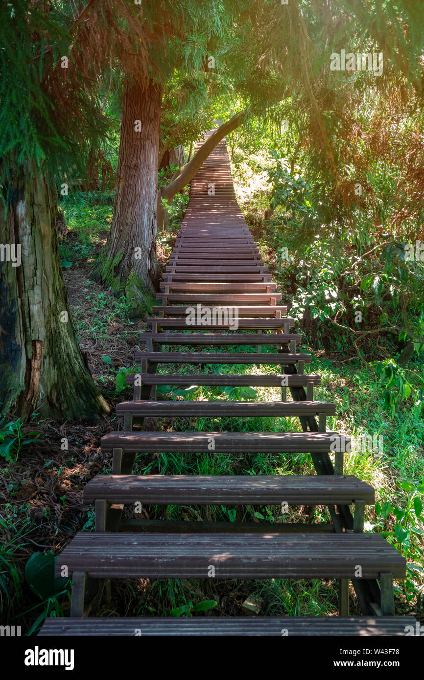 Steps for visitors in Tsvermaghala park, Guria, Georgia. Travel Stock ...