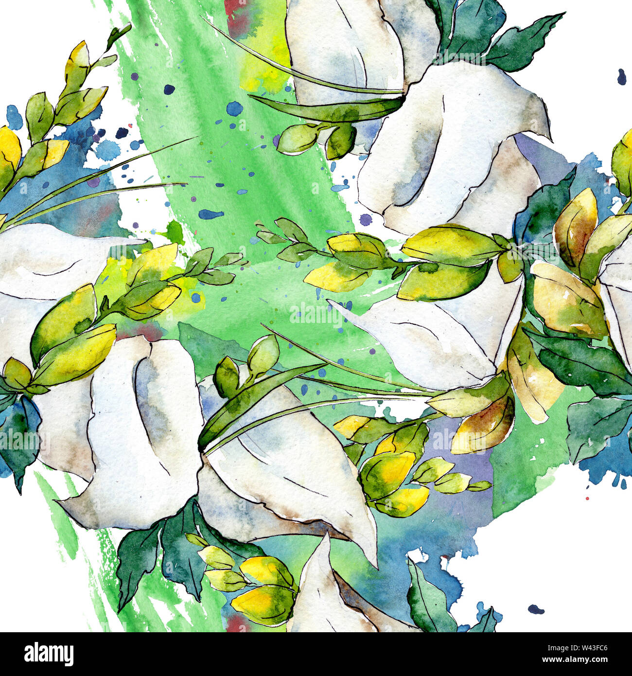 Bouquet floral botanical flowers. Watercolor background illustration ...