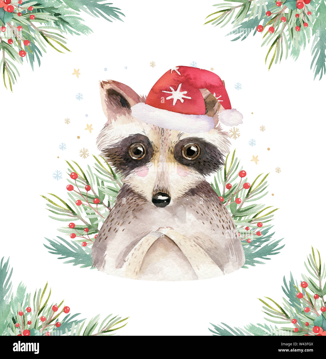 Baby Raccoon Clip Art