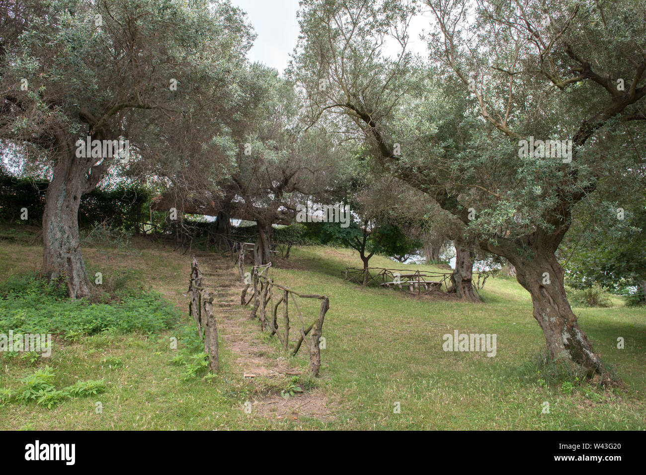 Albania, Balkan Peninsula, Apollonia, Archaeological site Stock Photo ...