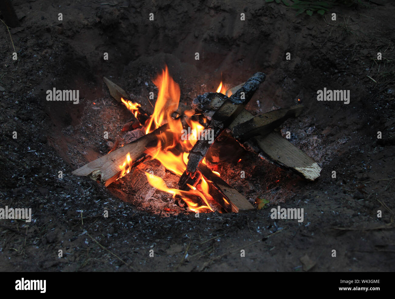 Bonfire in summer forest hi-res stock photography and images - Alamy