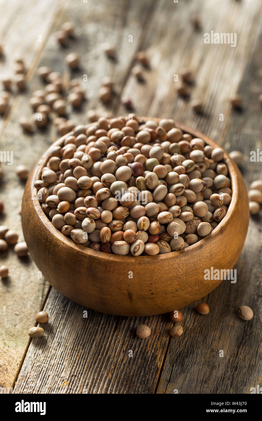Organic Dry Toor Whole Pigeon Peas in a Bowl Stock Photo - Alamy