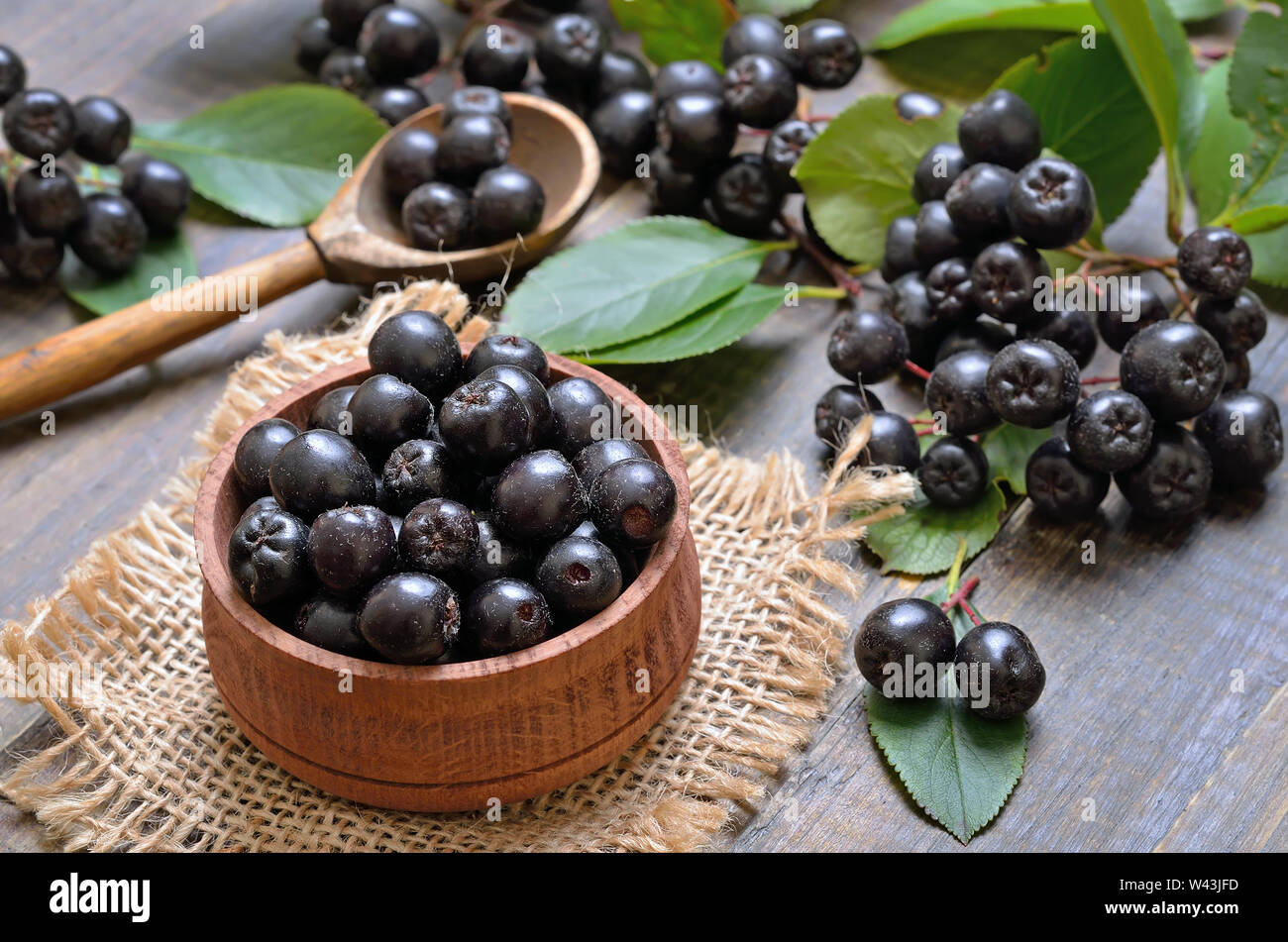 Black chokeberry (Aronia melanocarpa) in wooden bowl, close up Stock ...