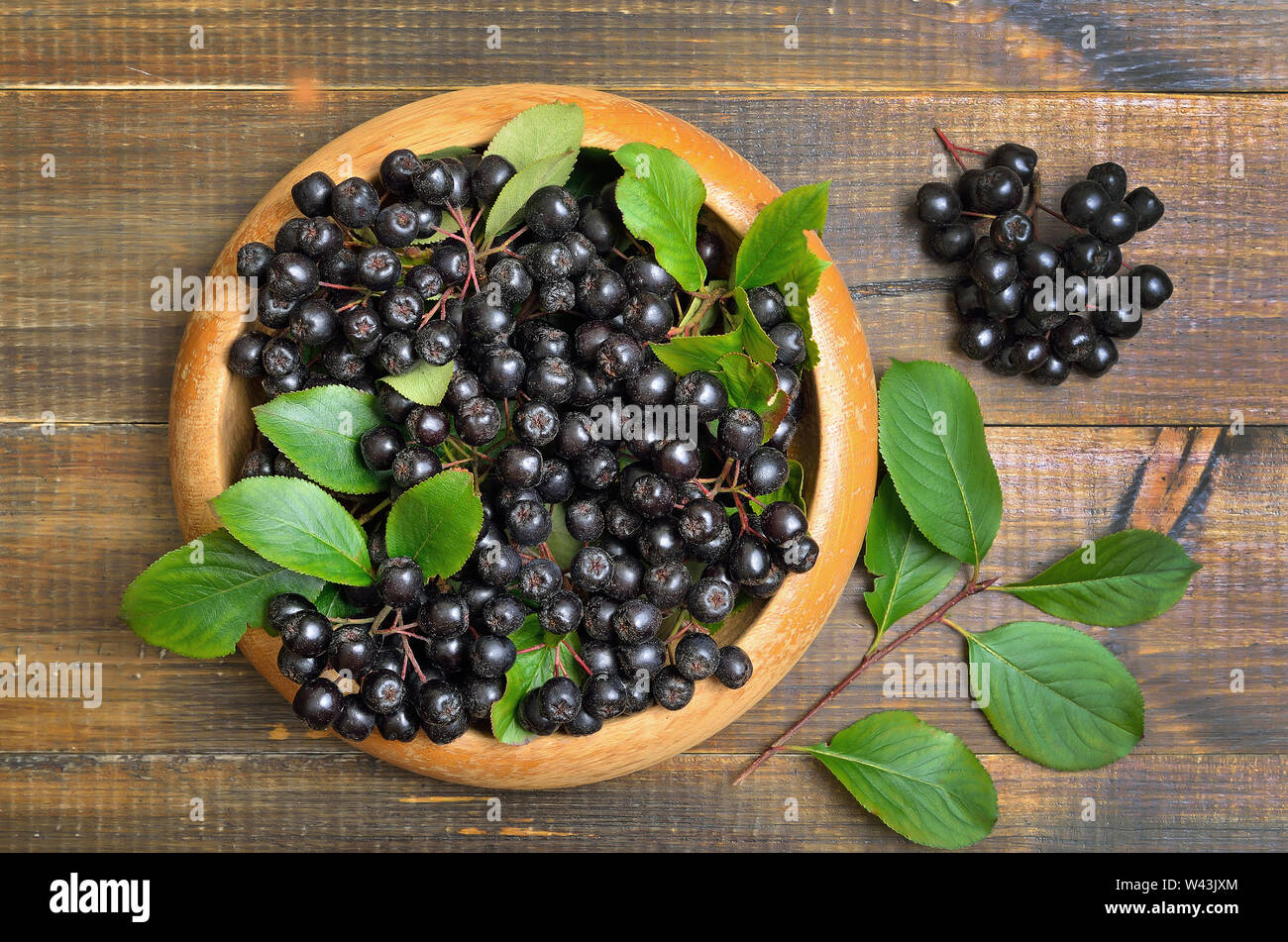 Chokeberry fruit hi-res stock photography and images - Alamy