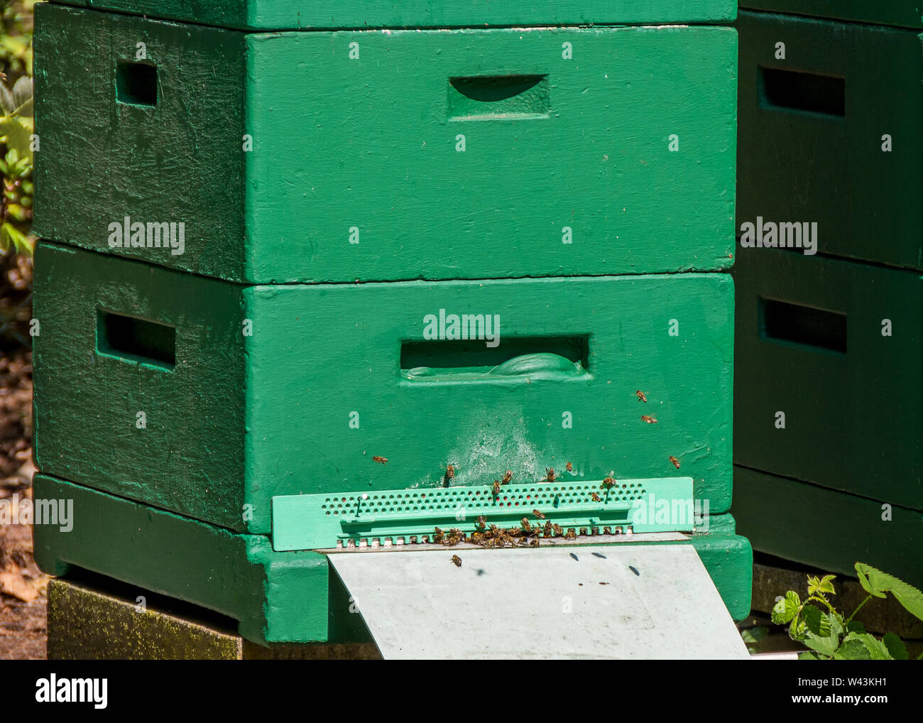 Beehive shape hi-res stock photography and images - Alamy