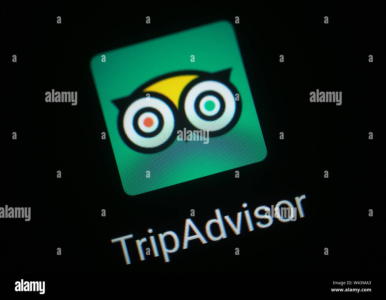 Tripadvisor App Icon