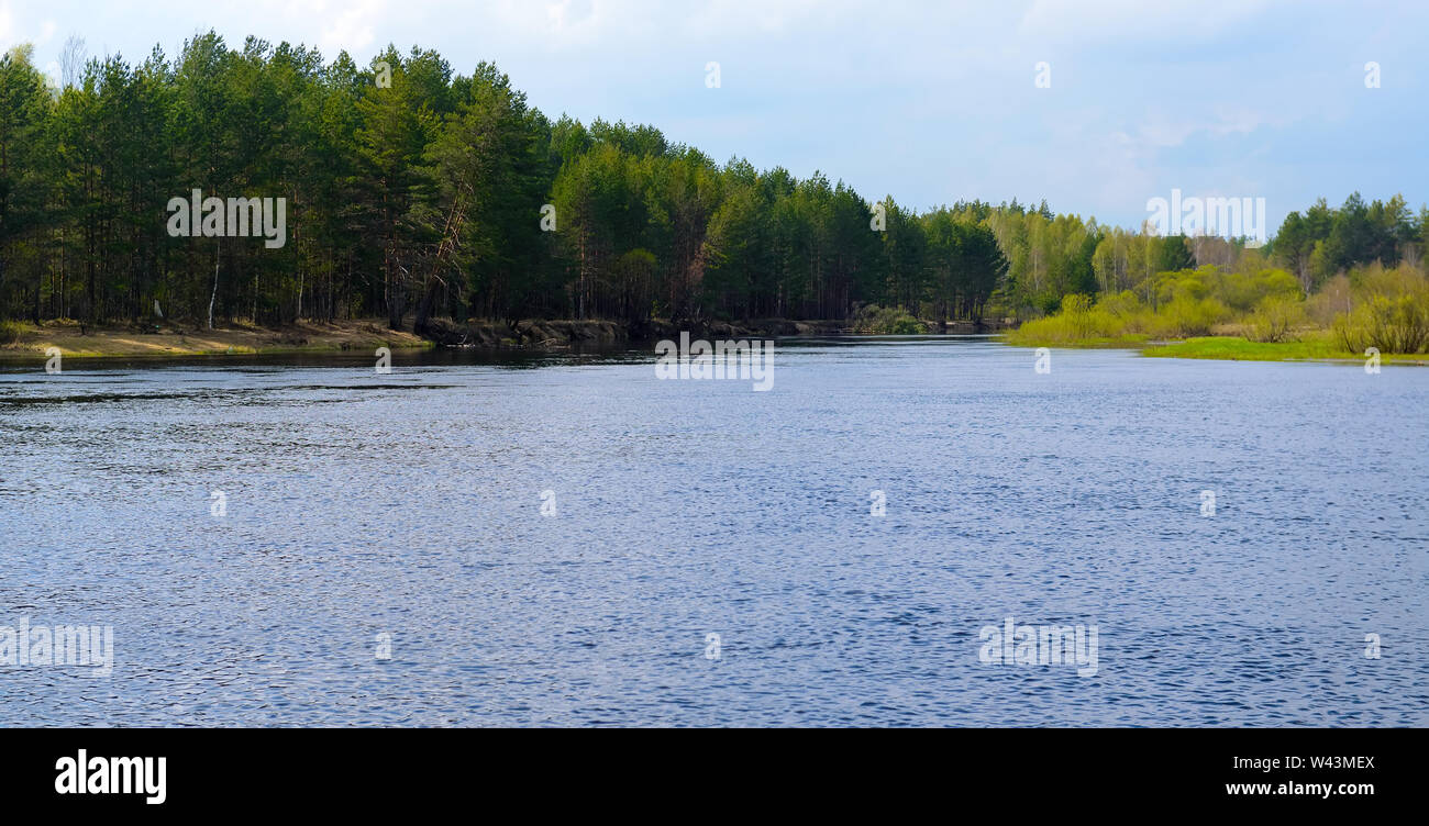 Autumn evening landscape with the river and a beautiful tree. River Pra ...