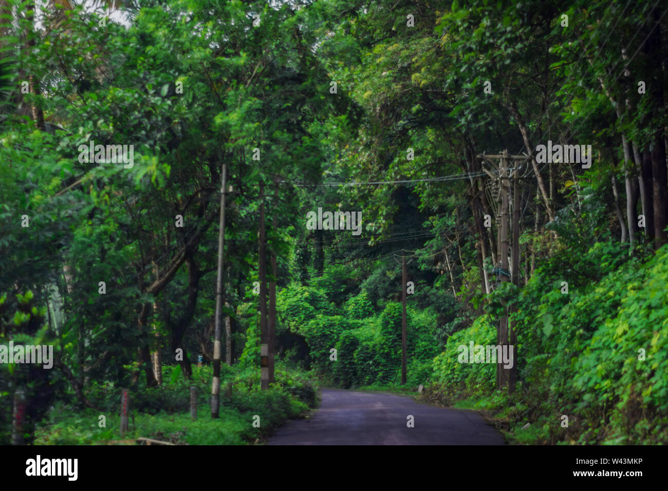 Peerumedu hi-res stock photography and images - Alamy