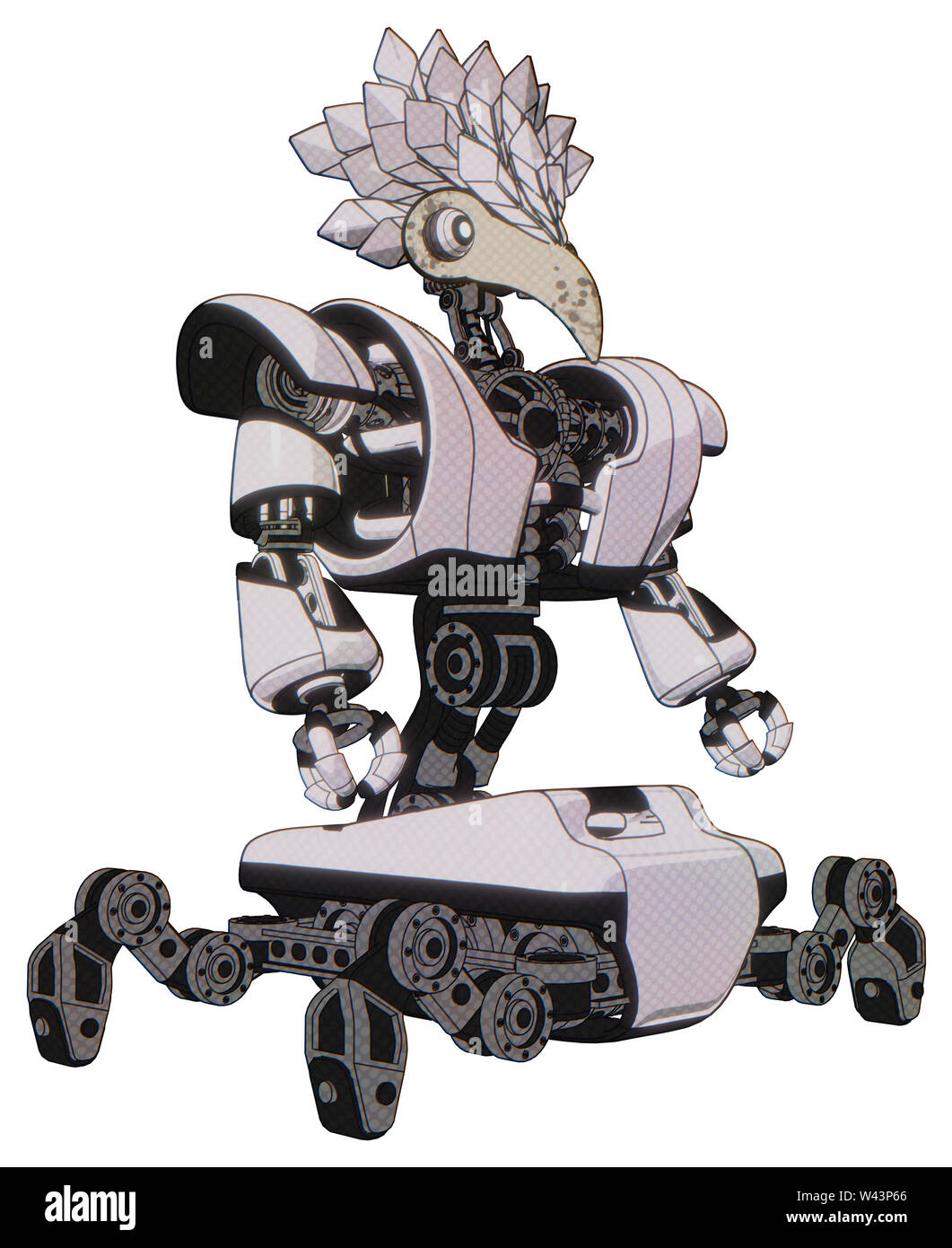 Heavyweight bird hi-res stock photography and images - Alamy