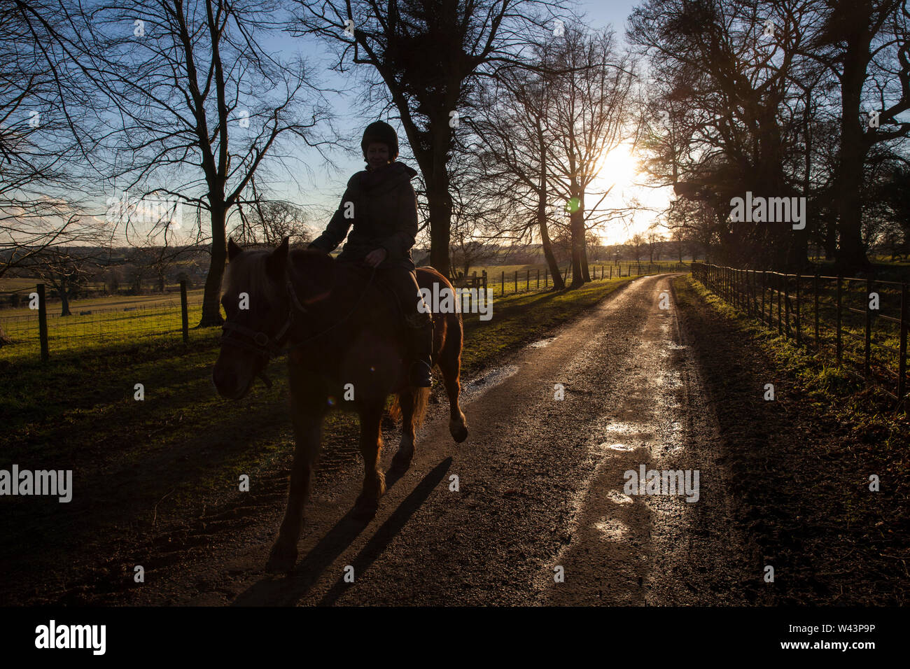 Horse riding in the English countryside lane, St Pauls Warden ...