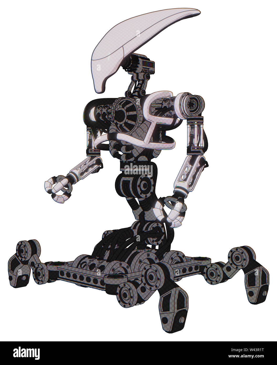 Elongated legs Cut Out Stock Images & Pictures - Alamy