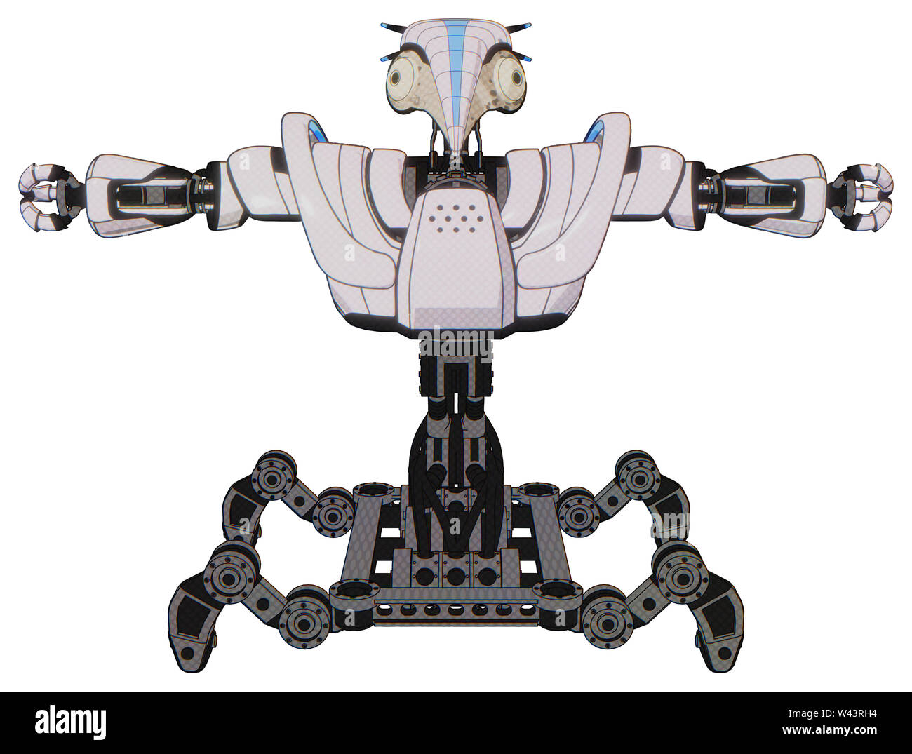 Robot containing elements: bird skull head, bone skull eye holes, head ...