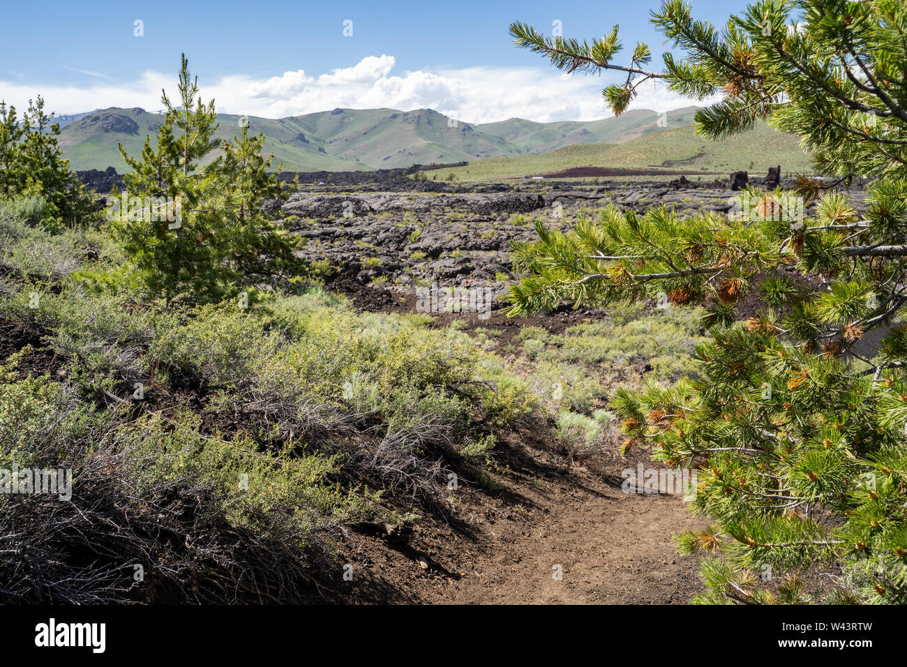 Hiking trail leading to black volcanic lava fields at Craters of the ...