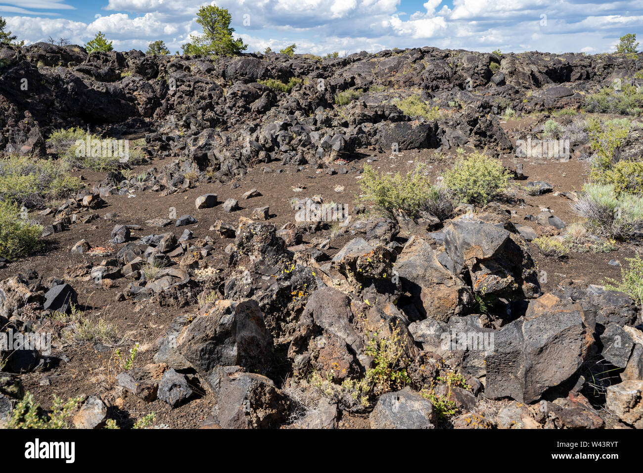 Black volcanic rock and lava flow fields in Craters of the Moon ...