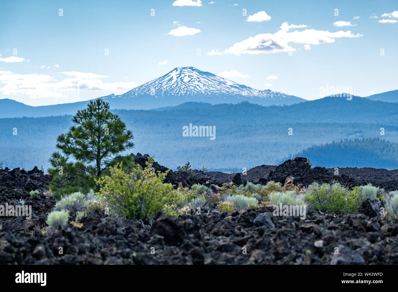 Molten lava trees hi-res stock photography and images - Alamy