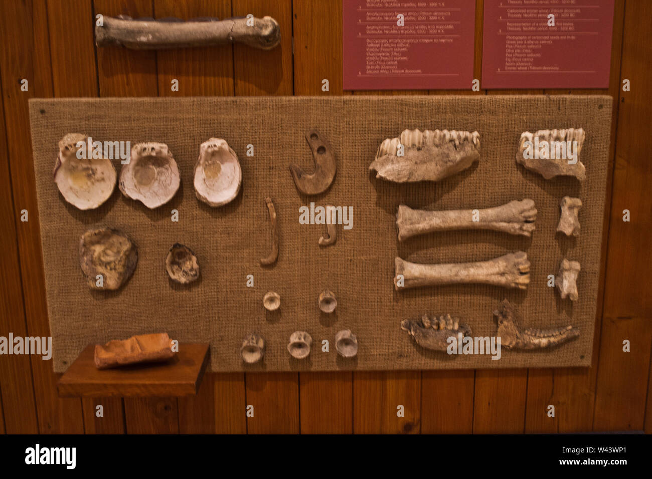 Ancient museum exhibits from ancient Greece Stock Photo - Alamy