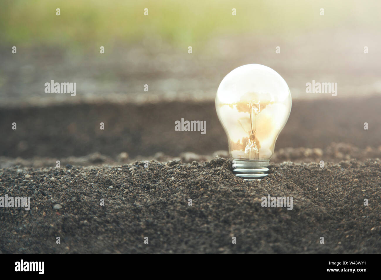 Light bulb glowing in soil as idea or energy concept Stock Photo - Alamy