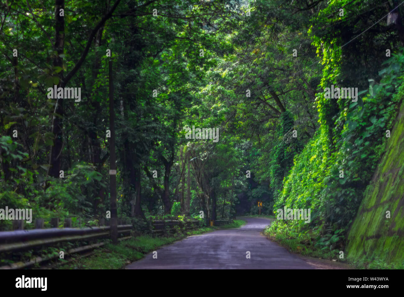 Vagamon, Kerala, India- 07 July 2019:Erattupetta Peerumedu road to ...
