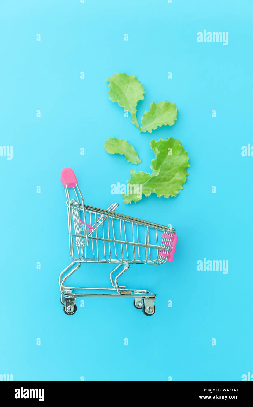 Ecology eco products health food vegan vegetarian concept . Small ...