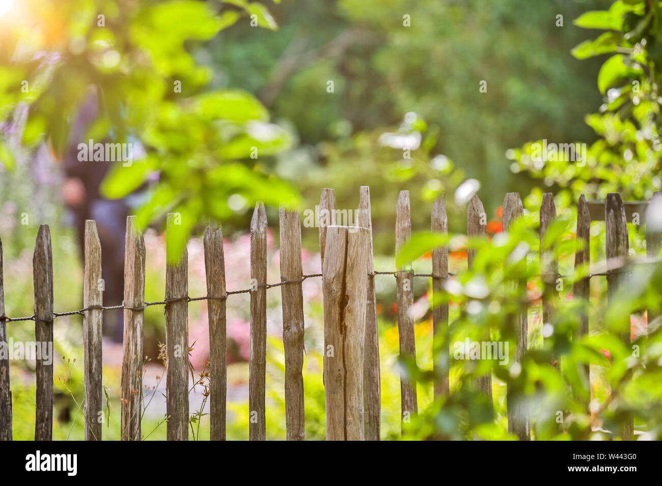 garden fence summer background Stock Photo - Alamy