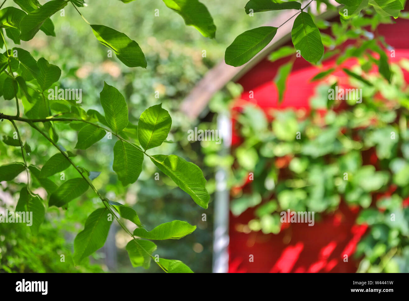 Gardenscape hi-res stock photography and images - Alamy