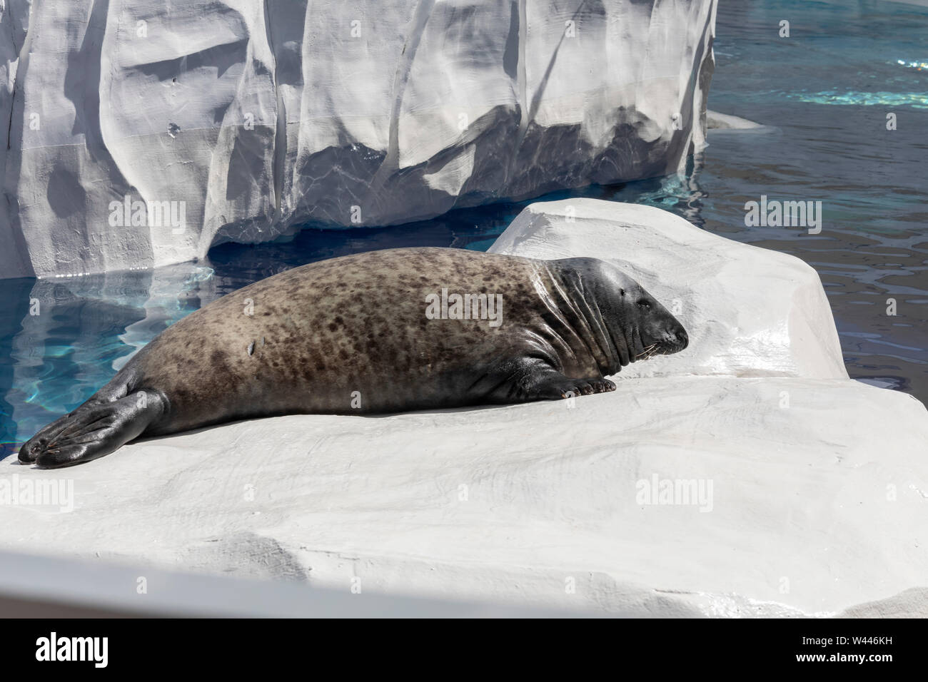 Seal of michigan hi-res stock photography and images - Alamy