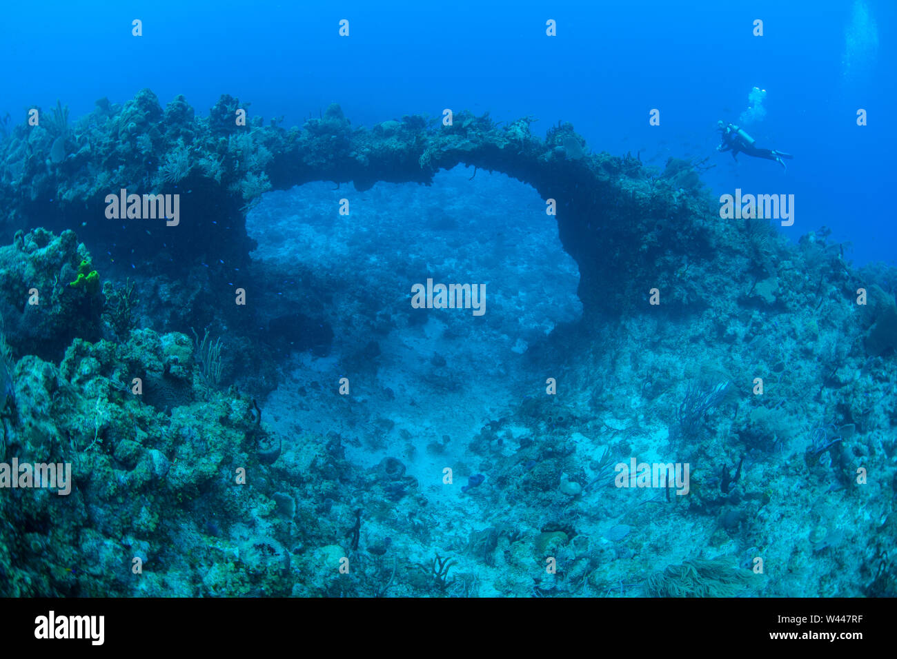 A scuba diver explores a submerged natural arch formed on a beautiful ...