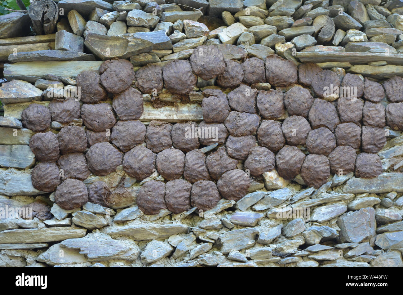 Dried cow dung to be used as fuel in Nuratau mountains Stock Photo - Alamy