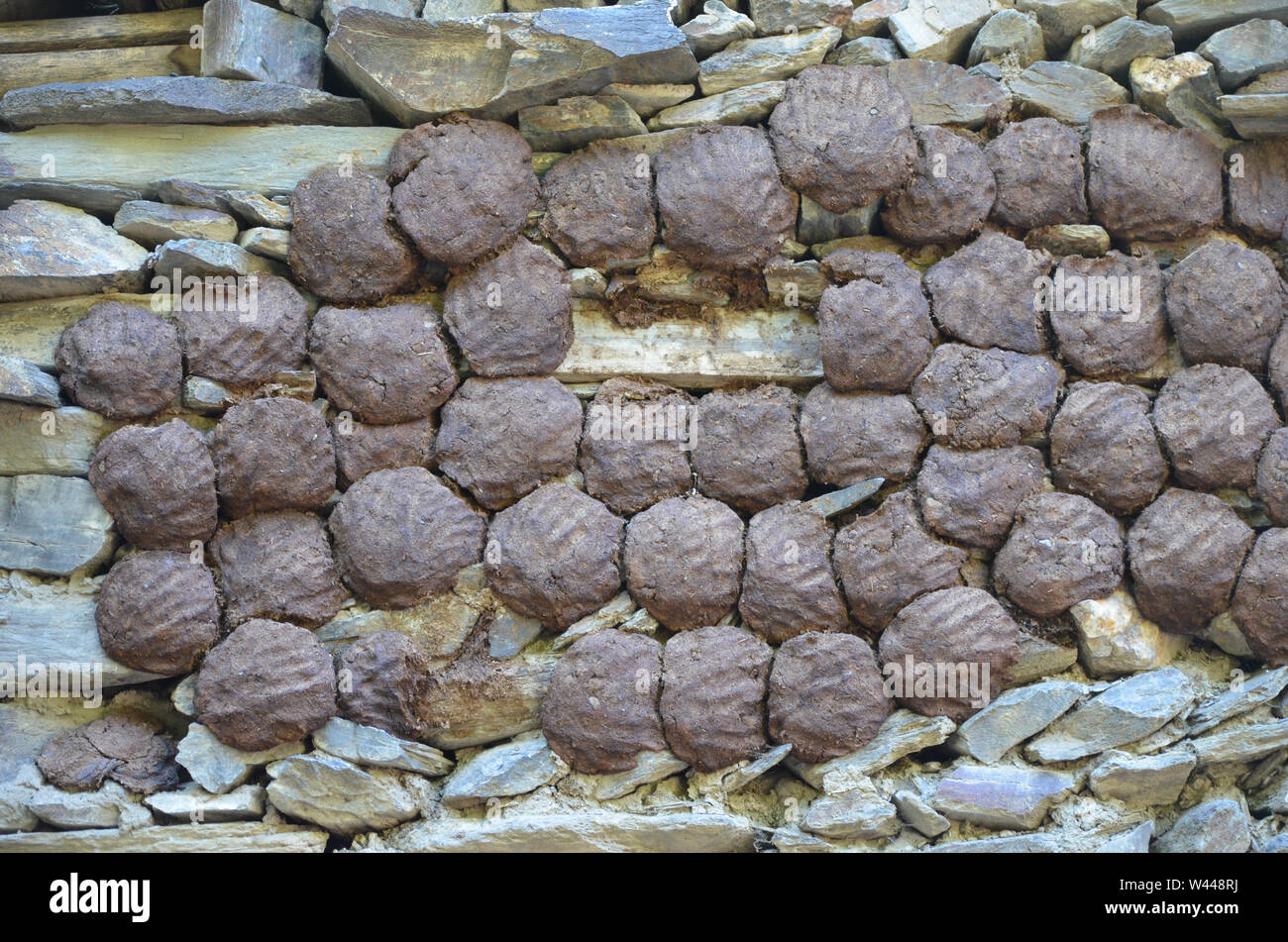 Dried cow dung to be used as fuel in Nuratau mountains Stock Photo - Alamy