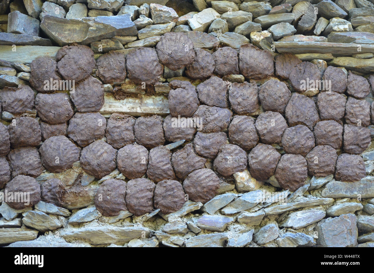 Dried cow dung to be used as fuel in Nuratau mountains Stock Photo - Alamy