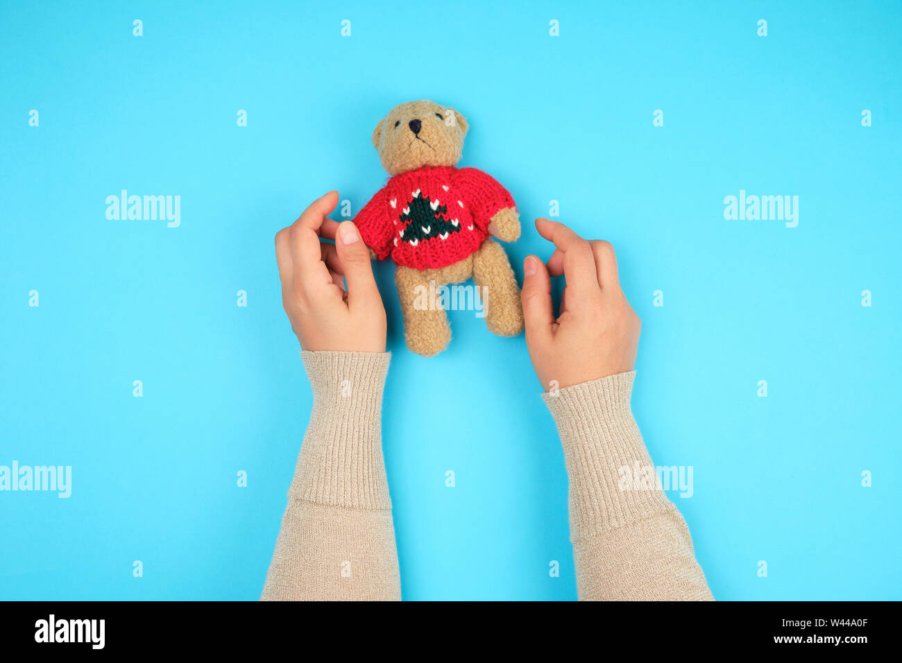two female hands hold a small toy teddy bear on a blue background, top ...