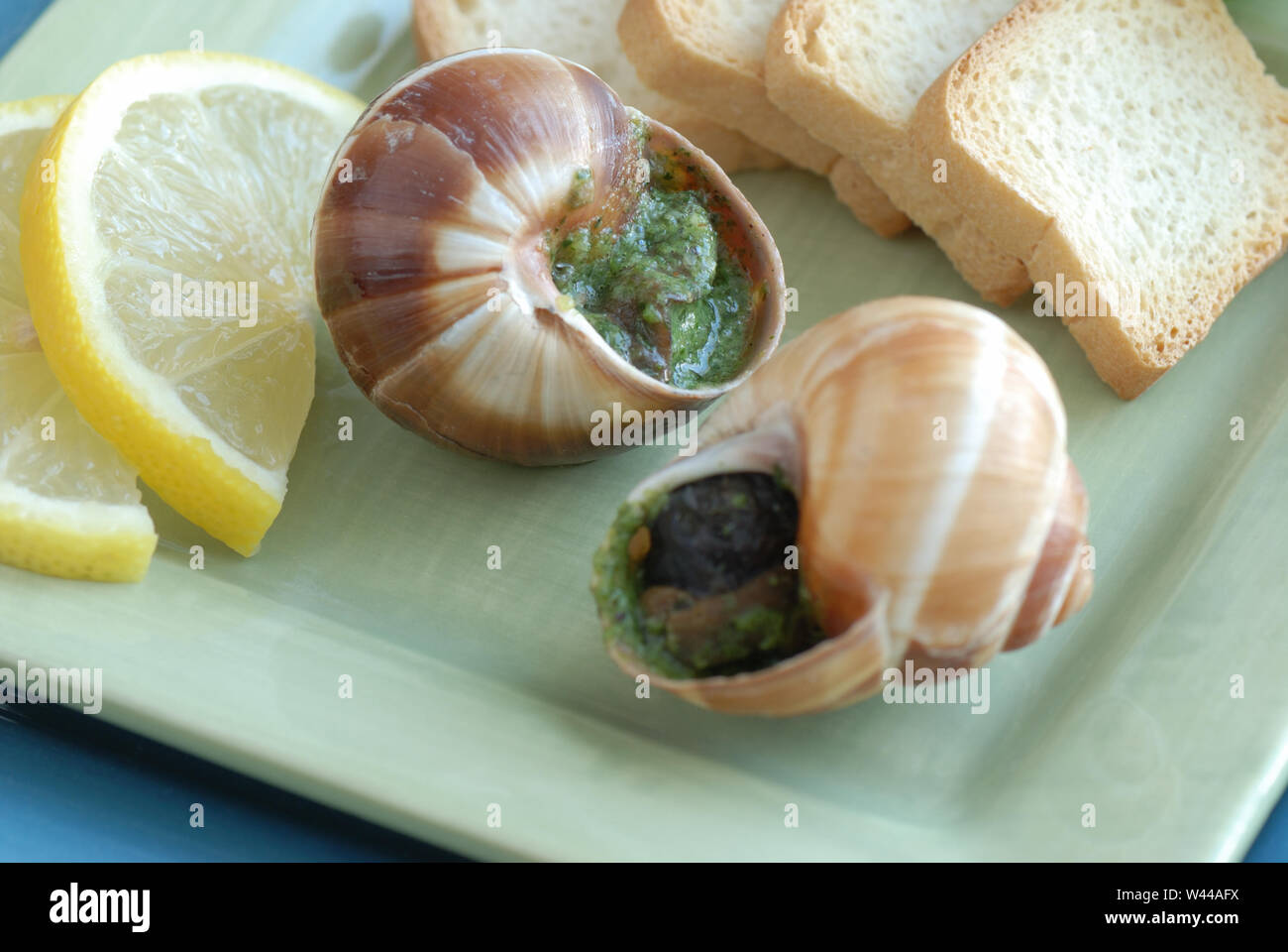 Shellfish escargot hi-res stock photography and images - Alamy