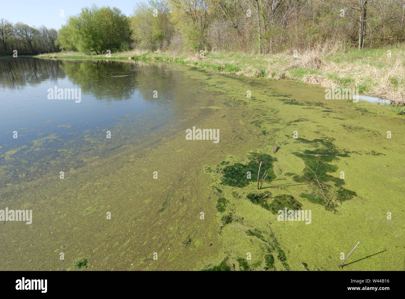 Biodiversity science hi-res stock photography and images - Alamy