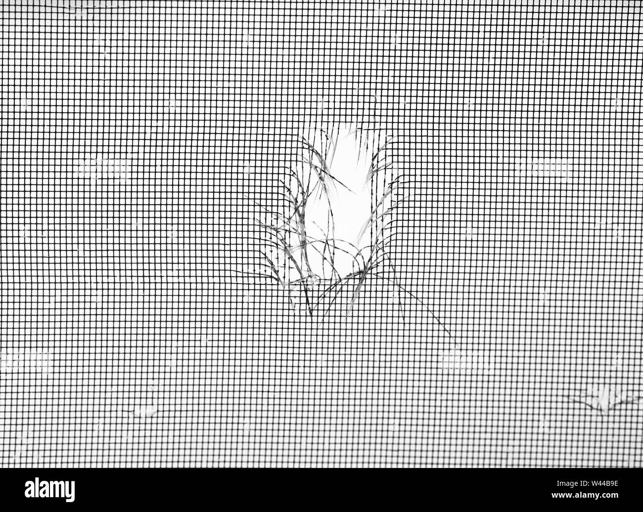 White screen window hi-res stock photography and images - Alamy