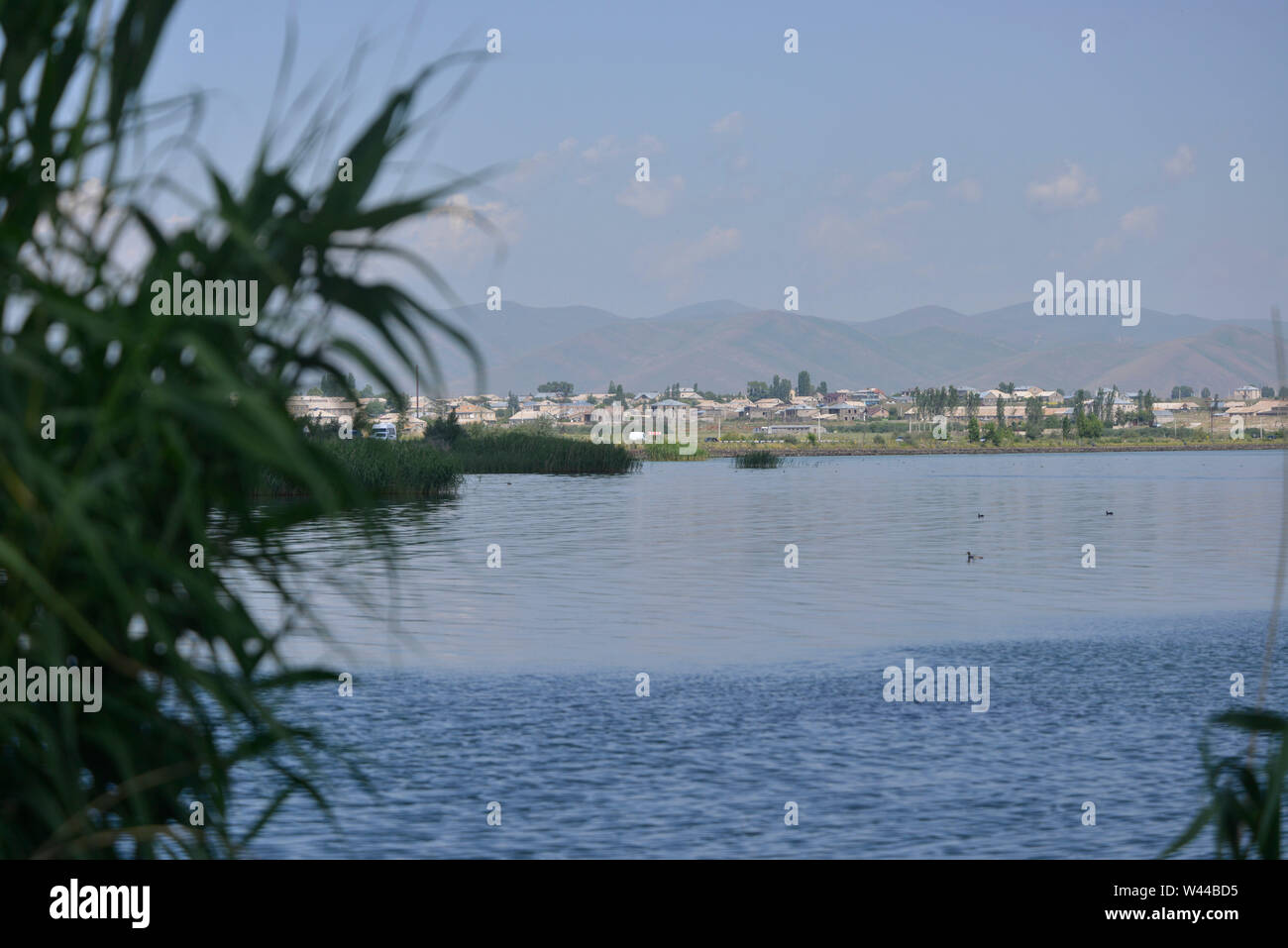 Plastic pollution in lakes hi-res stock photography and images - Alamy