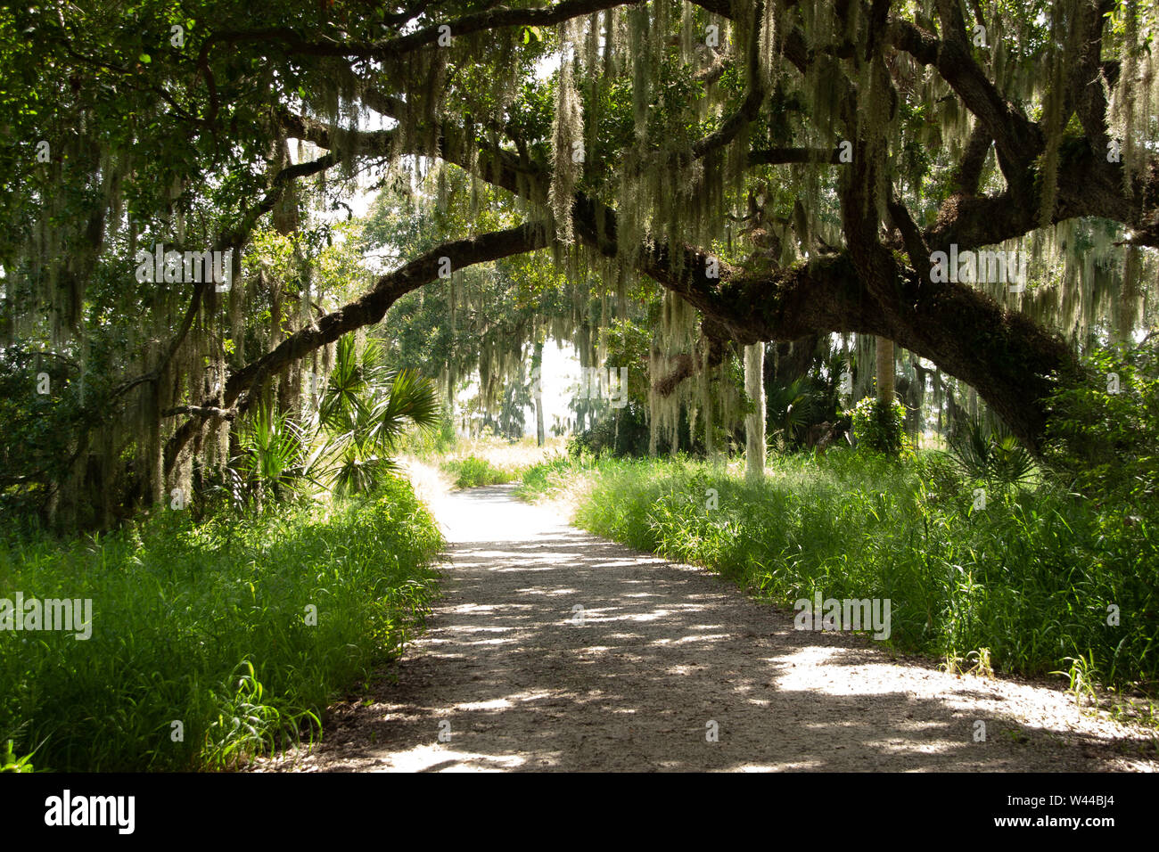 The road less traveled hi-res stock photography and images - Alamy