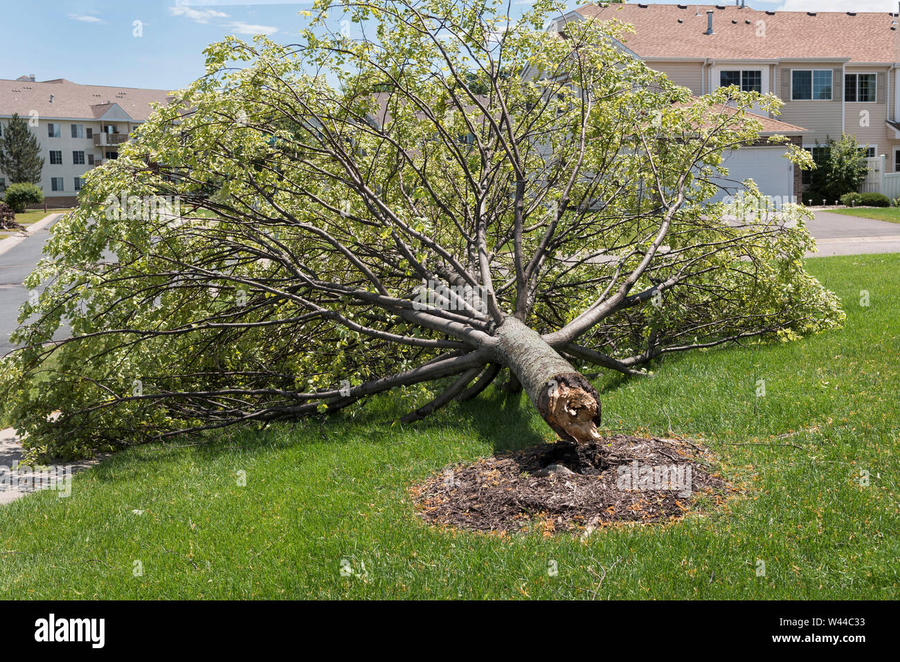 Minnesota spring storm hi-res stock photography and images - Alamy