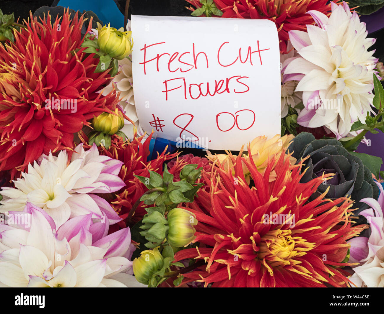 Open cut flowers hi-res stock photography and images - Alamy
