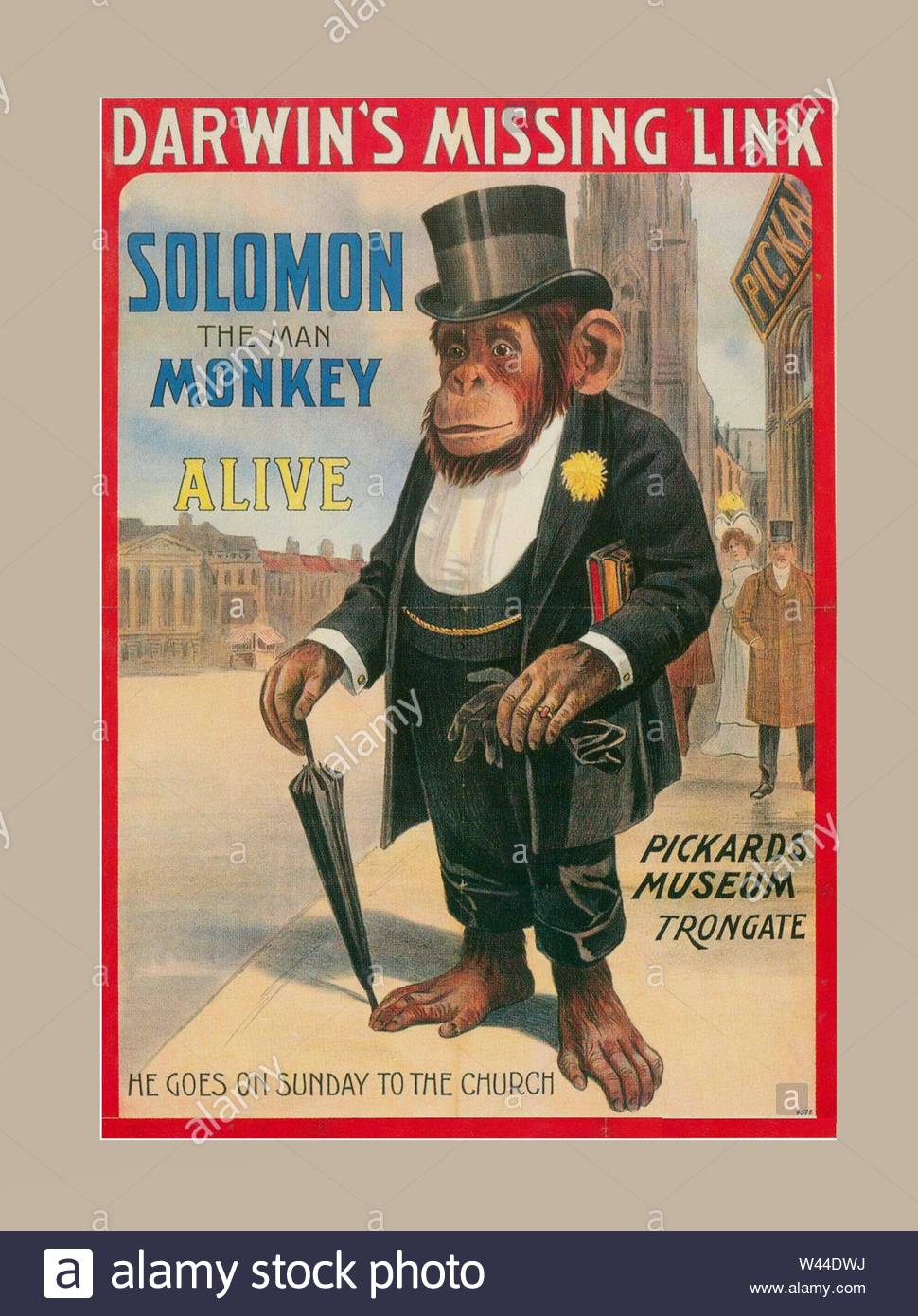 The Ape Man Stock Photos & The Ape Man Stock Images - Alamy