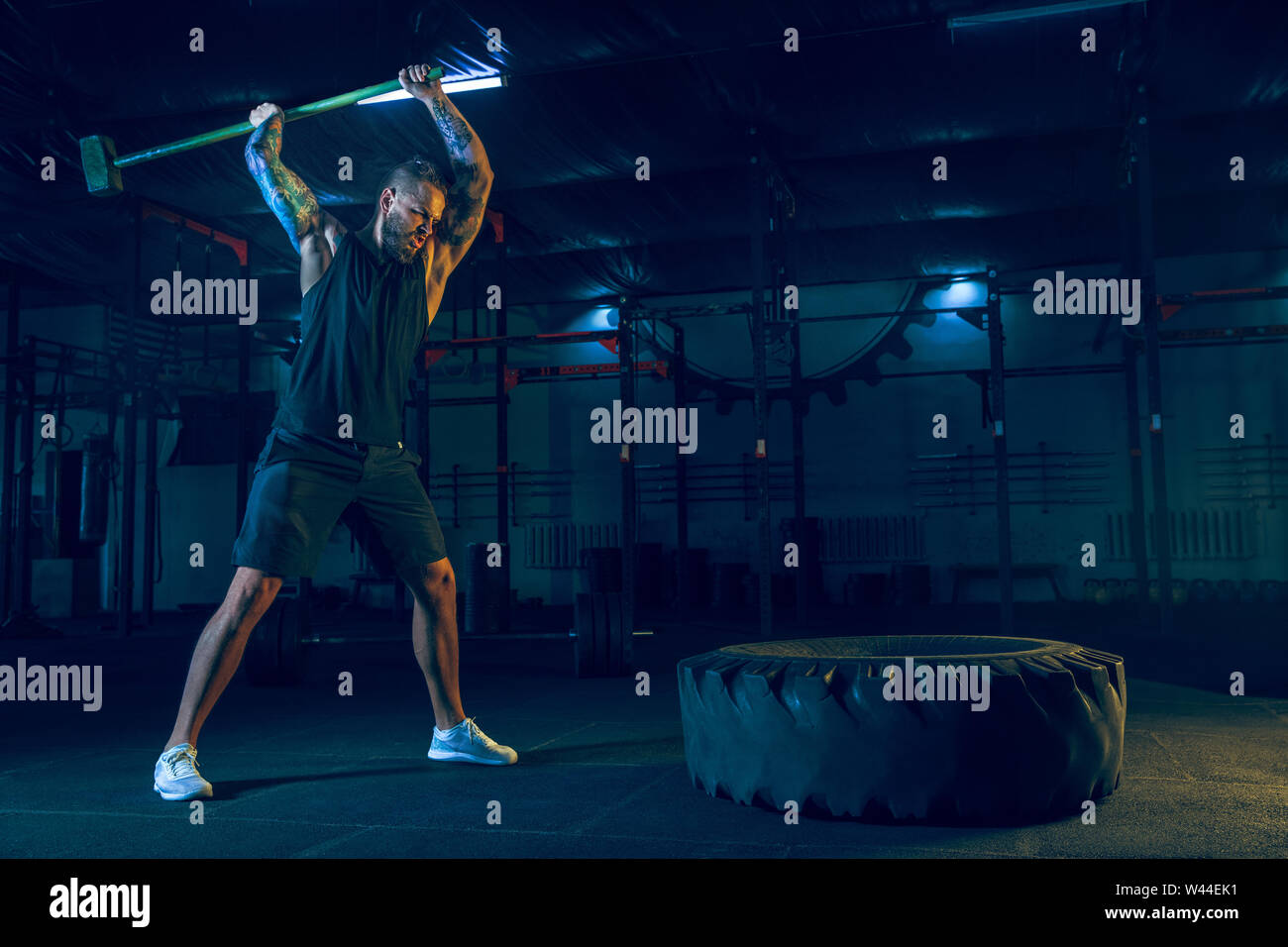 Young healthy man athlete doing exercises in the gym. Single male model ...