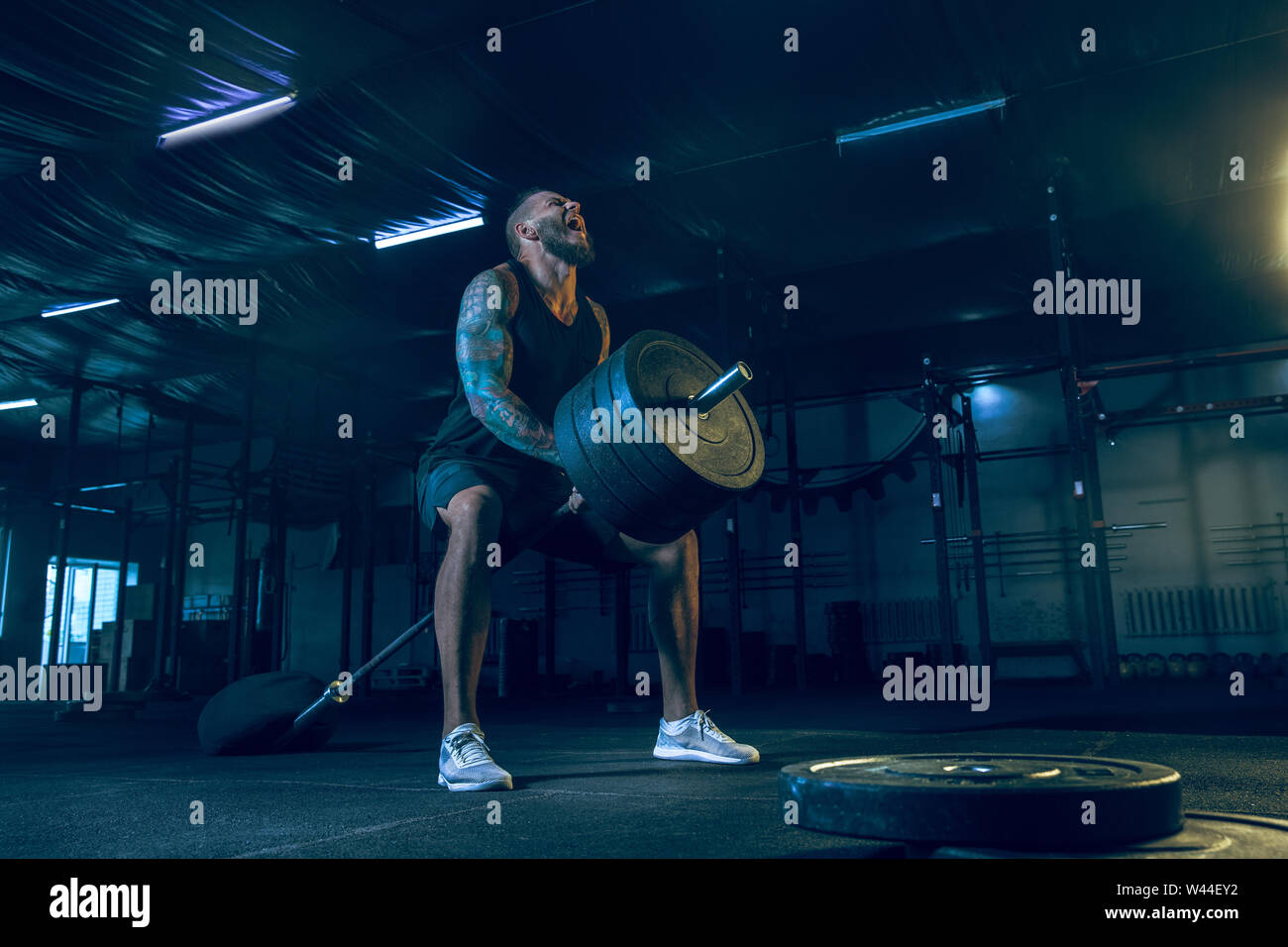 Young healthy man athlete doing exercise with the barbell in the gym ...